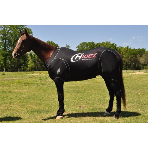 Hidez Photo Black Suit 2- Hidez Photo Black Suit 2-